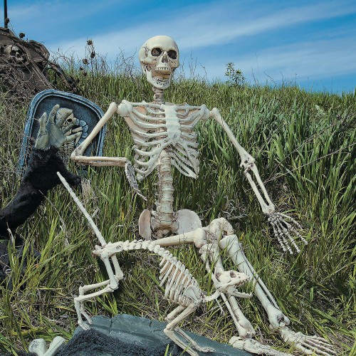 Skeleton 5 Foot Posable Halloween Decoration Ultimate Halloween Prop